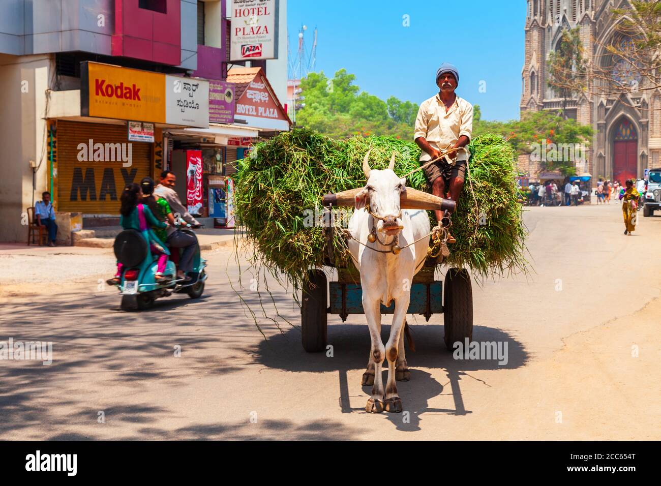 Bull cart india hi-res stock photography and images - Alamy
