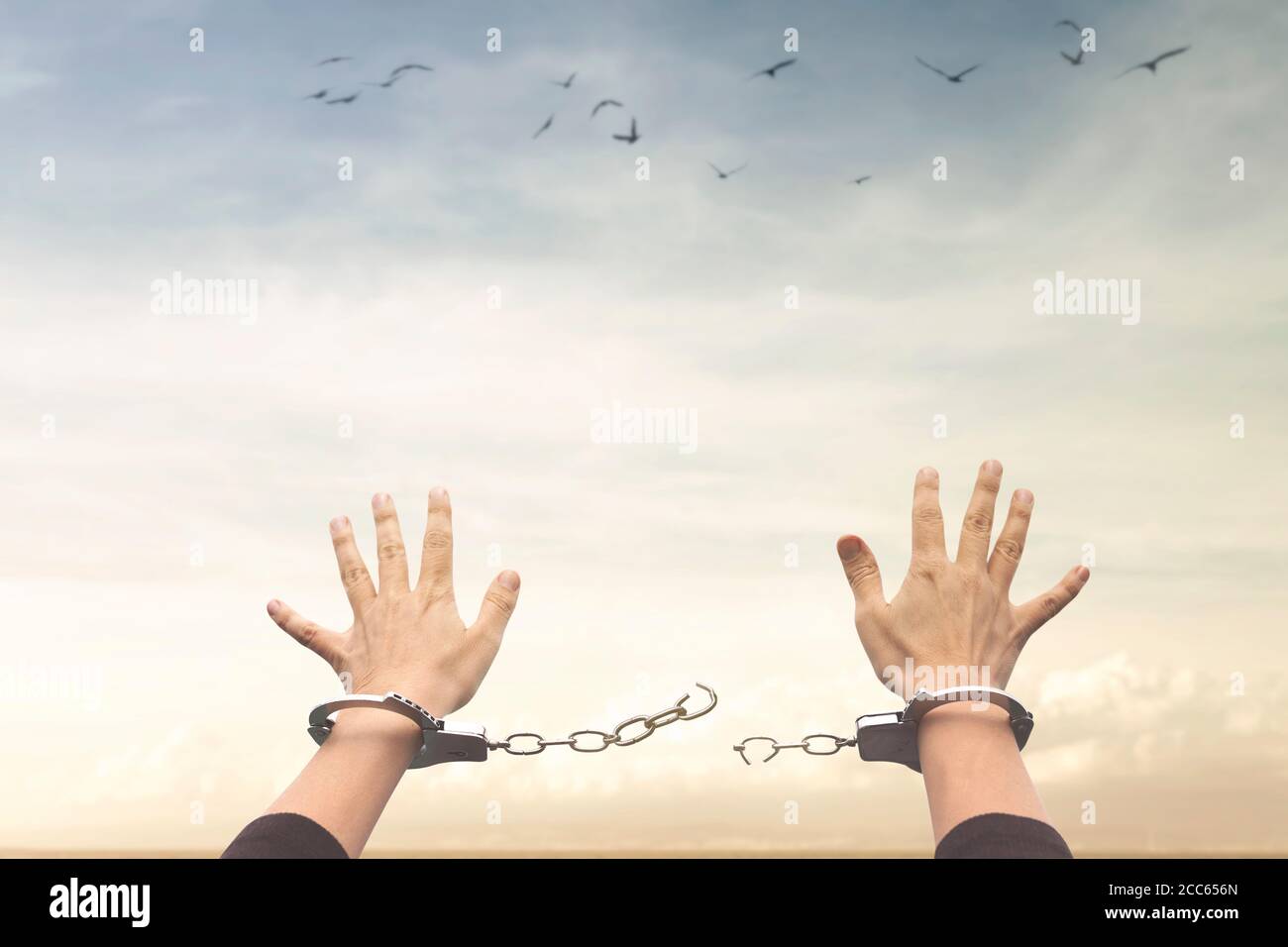 concept of freedom Stock Photo - Alamy