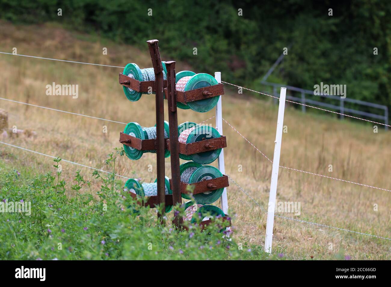 close up of a electrical wire fence around a pasture Stock Photo - Alamy