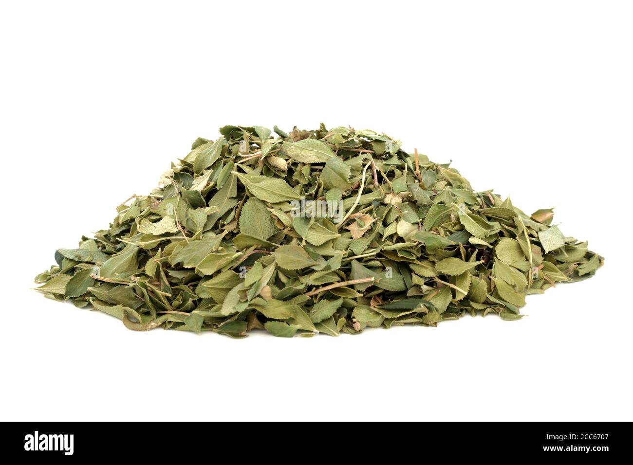 Buchu herb leaf used in herbal medicine to treat inflammation, cystitis ...