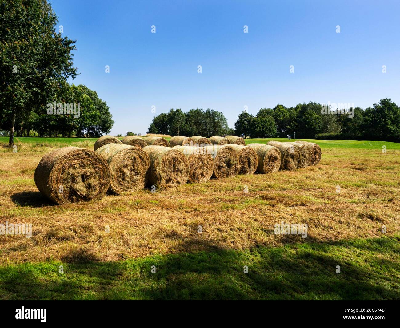 Rudding park estate hi-res stock photography and images - Alamy
