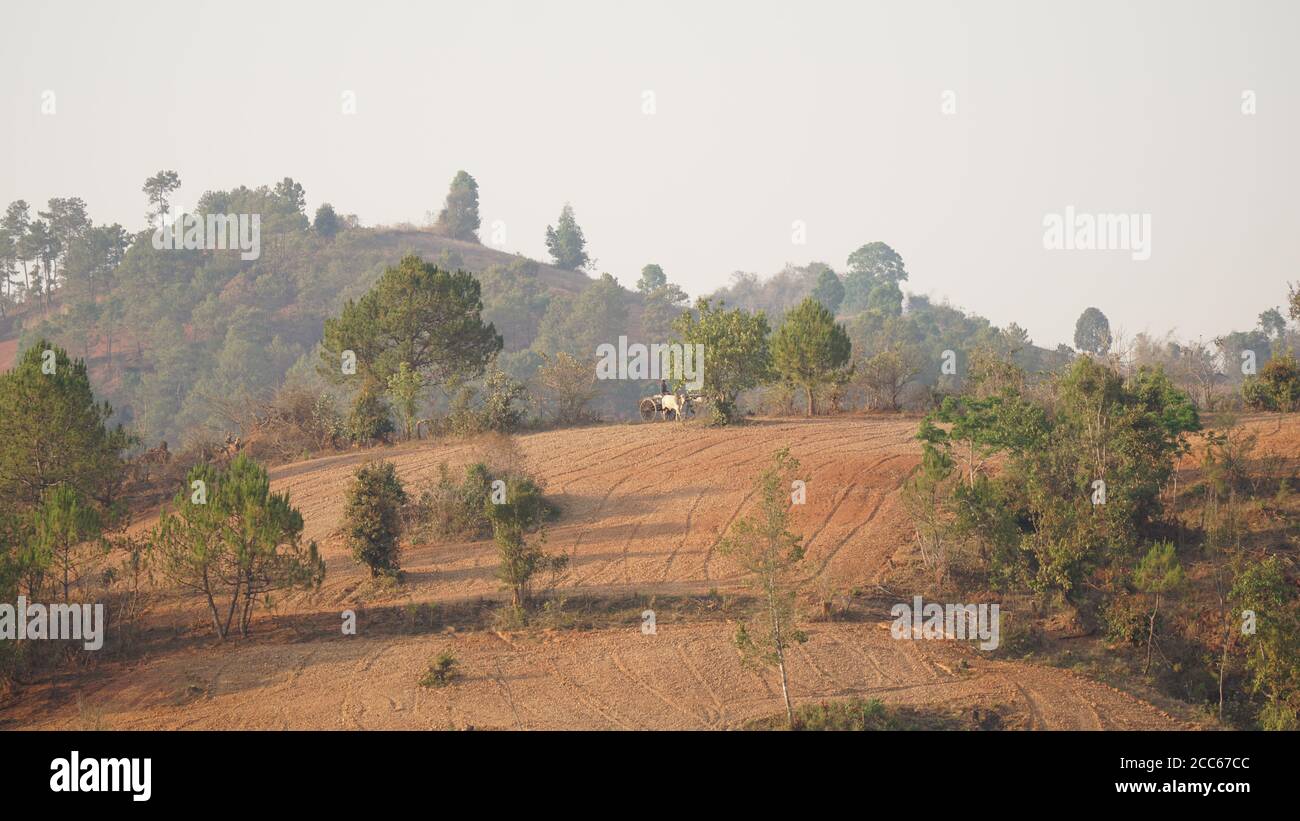 Country side hill and tree landscapes of Myanmar along the Kalaw to ...