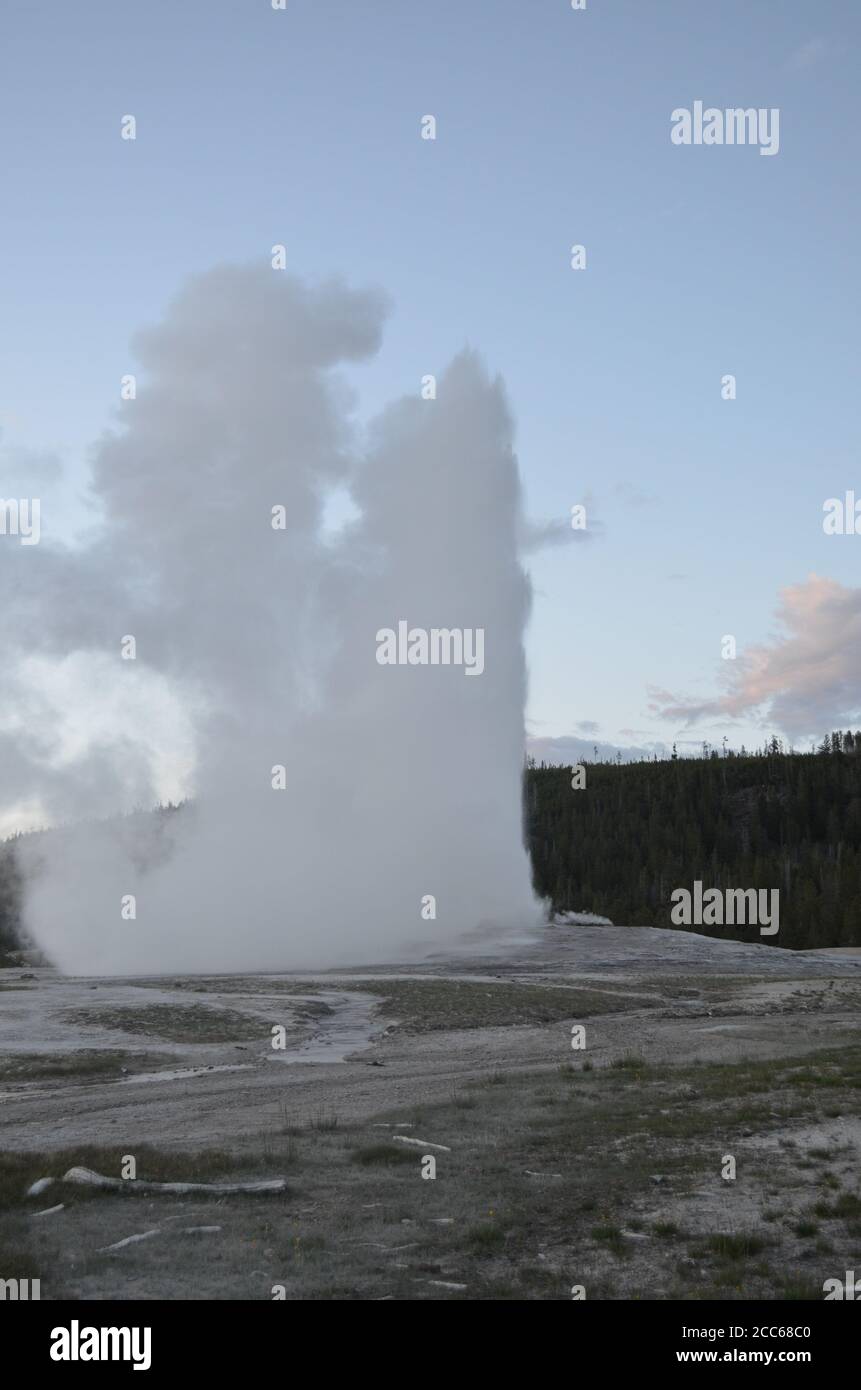 Late Spring in Yellowstone National Park: Old Faithful Geyser Eruption ...