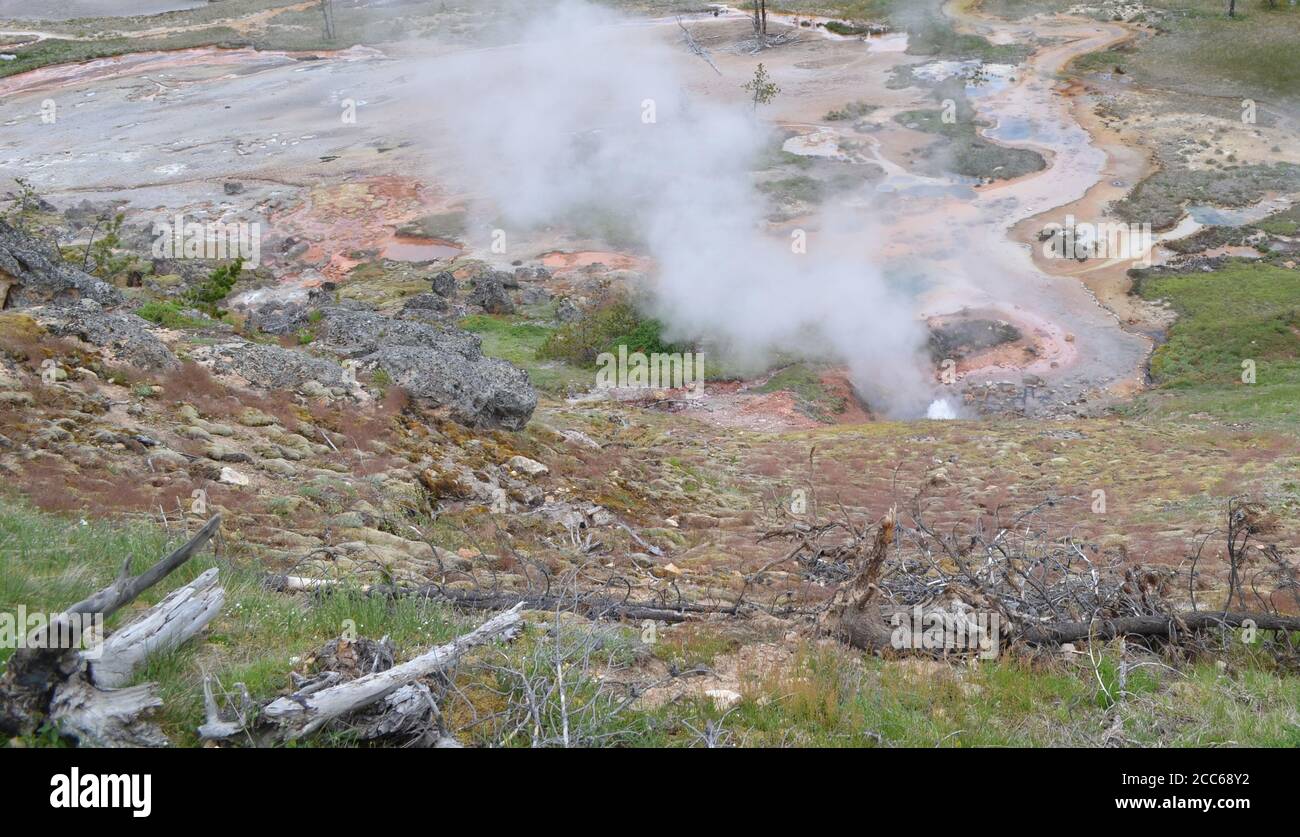 Late Spring in Yellowstone National Park: Blood Geyser Erupts in ...
