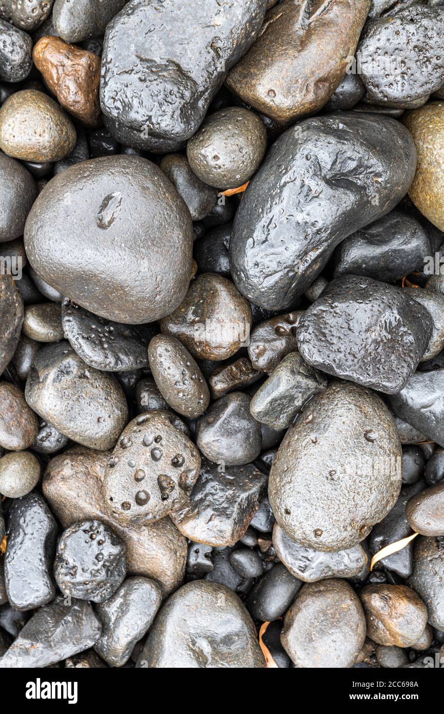 Wet Stones in a River Bed Stock Photo - Alamy