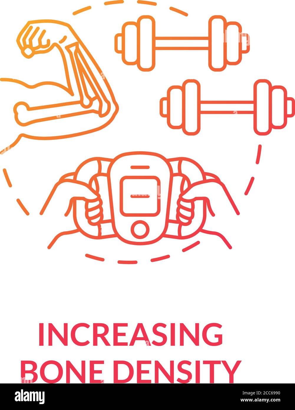 Increasing bone density concept icon Stock Vector Image & Art - Alamy