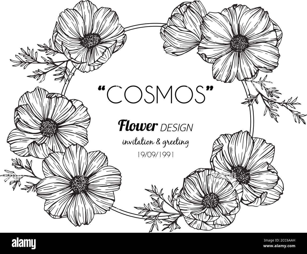 Cosmos flower and leaf hand drawn botanical illustration with line art ...