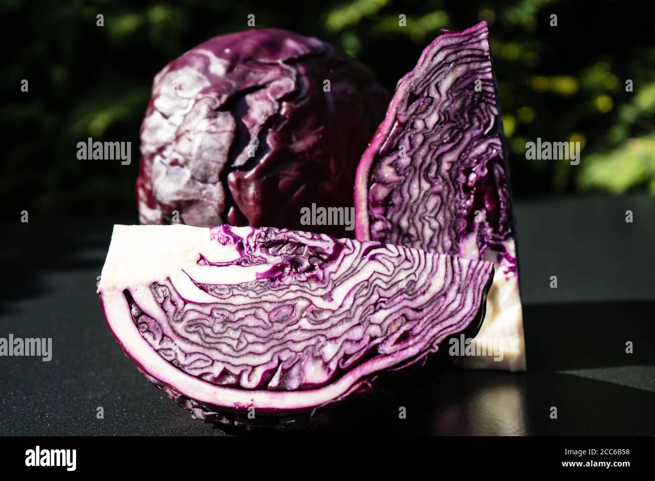 sliced red cabbage Brassica oleracea Stock Photo - Alamy
