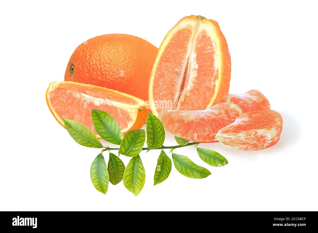 Orange, half, slices and sprig isolated on white background Stock Photo ...