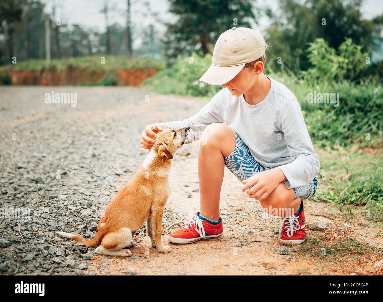 Boy met a little homeless puppy on the street Stock Photo - Alamy