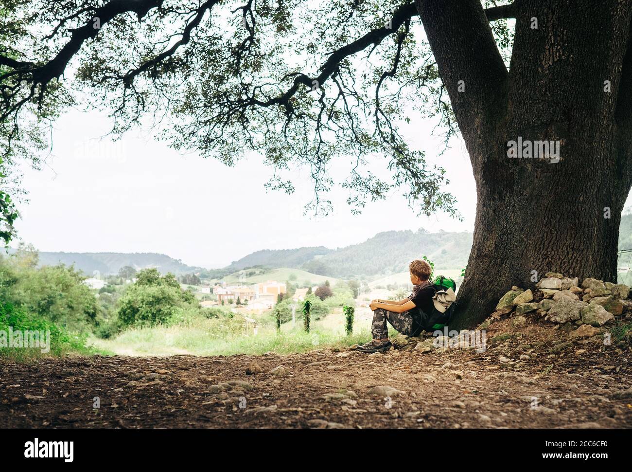 Boy sitting under big tree hi-res stock photography and images - Alamy