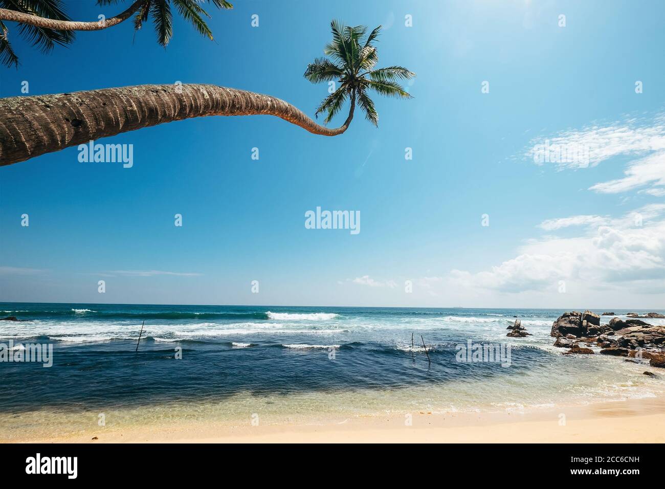Coconut trees over sea hi-res stock photography and images - Alamy