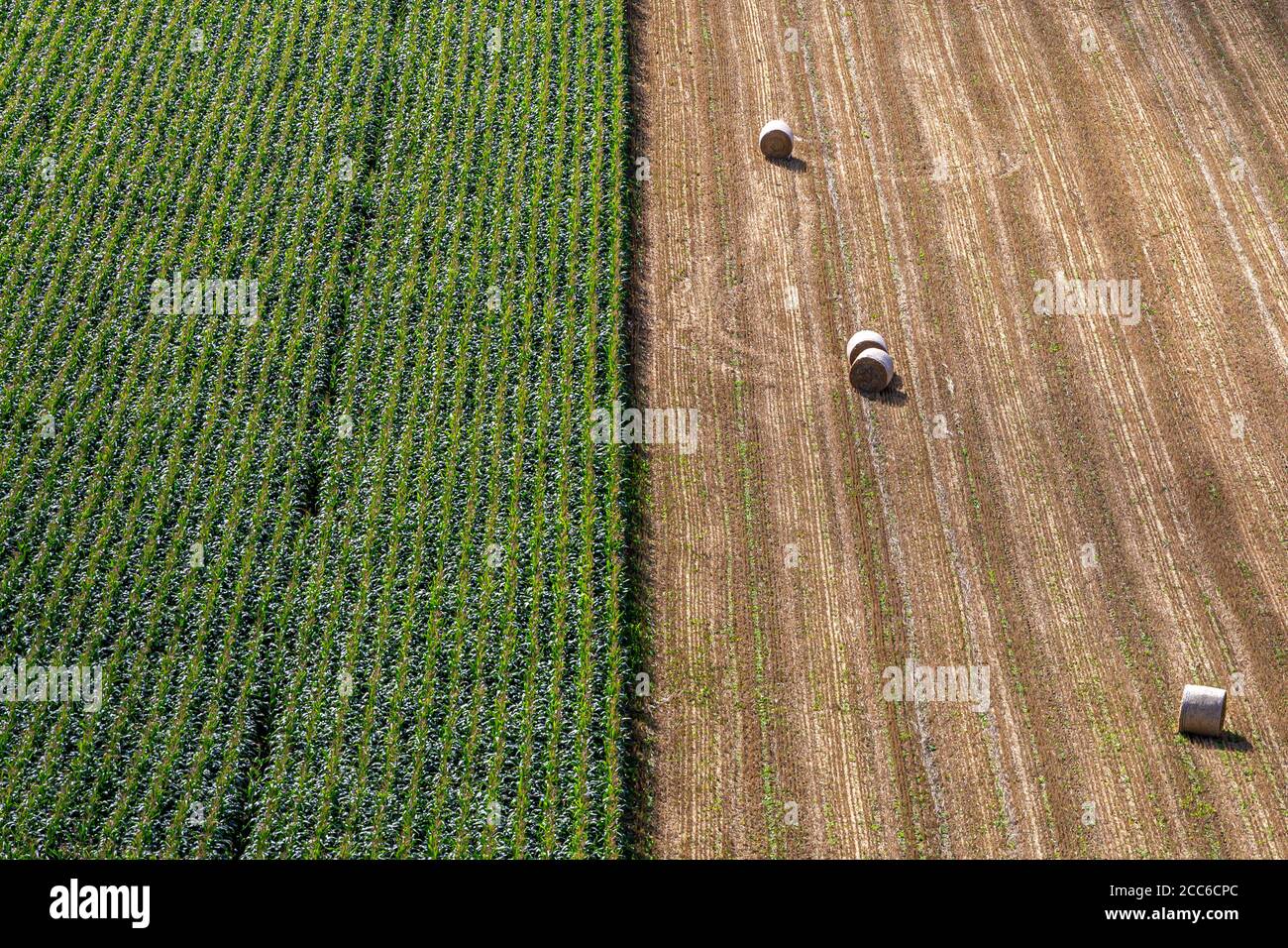 Looking down at farmland from a pathway along the South Downs Way, at a ...