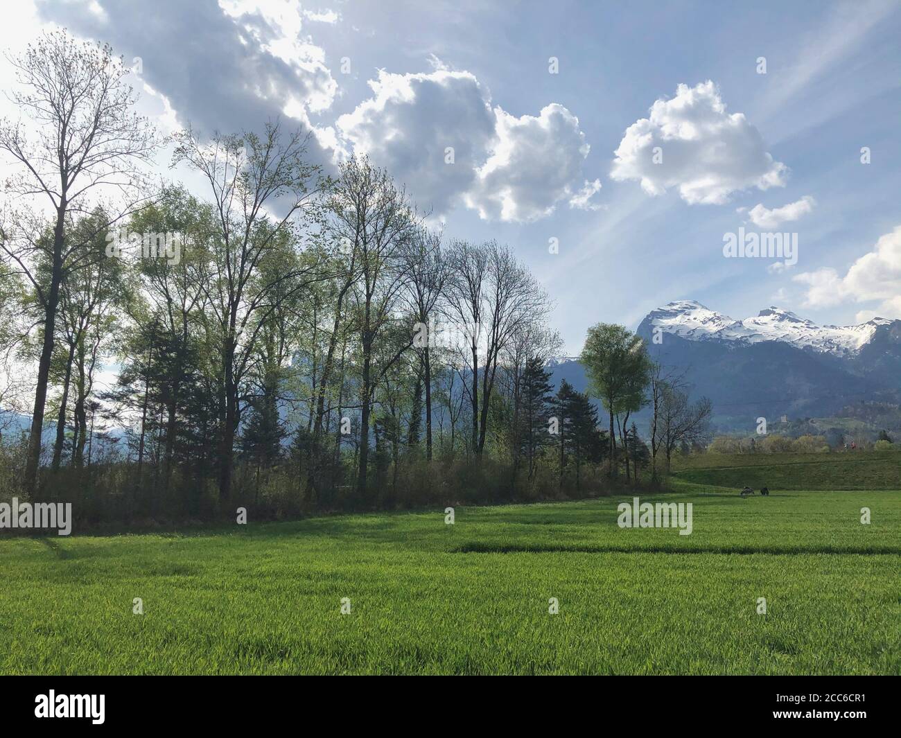 Trip into countryside hi-res stock photography and images - Alamy