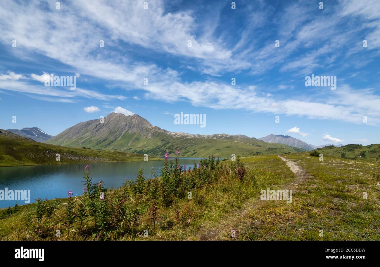 Lost Lake (Trail) and the Kenai Mountains in Southcentral Alaska Stock ...