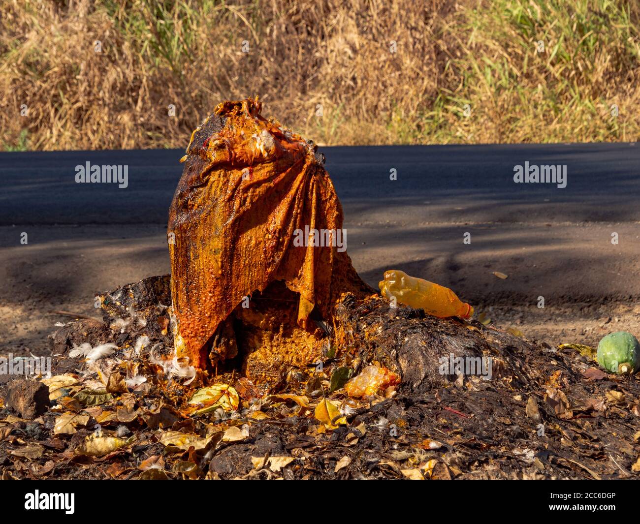 Dankoli, Benin - sacred place where voodoo ceremonies takes place Stock ...