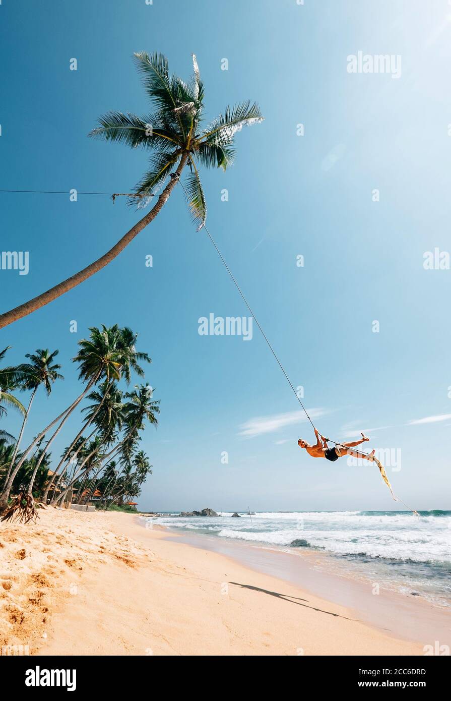 Palm tree swing hi-res stock photography and images - Alamy