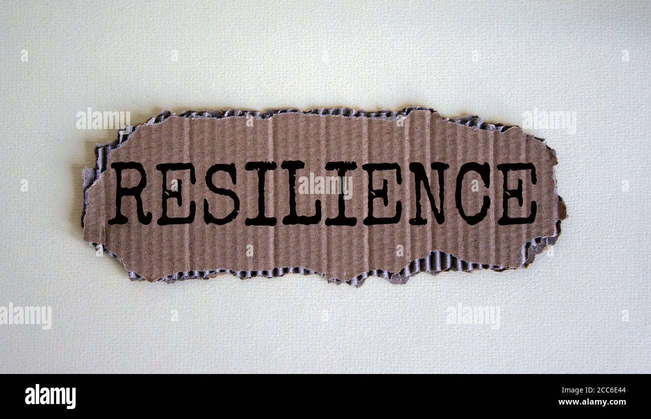 Words 'resilience' on the piece of cardboard on white fon. Beautiful ...