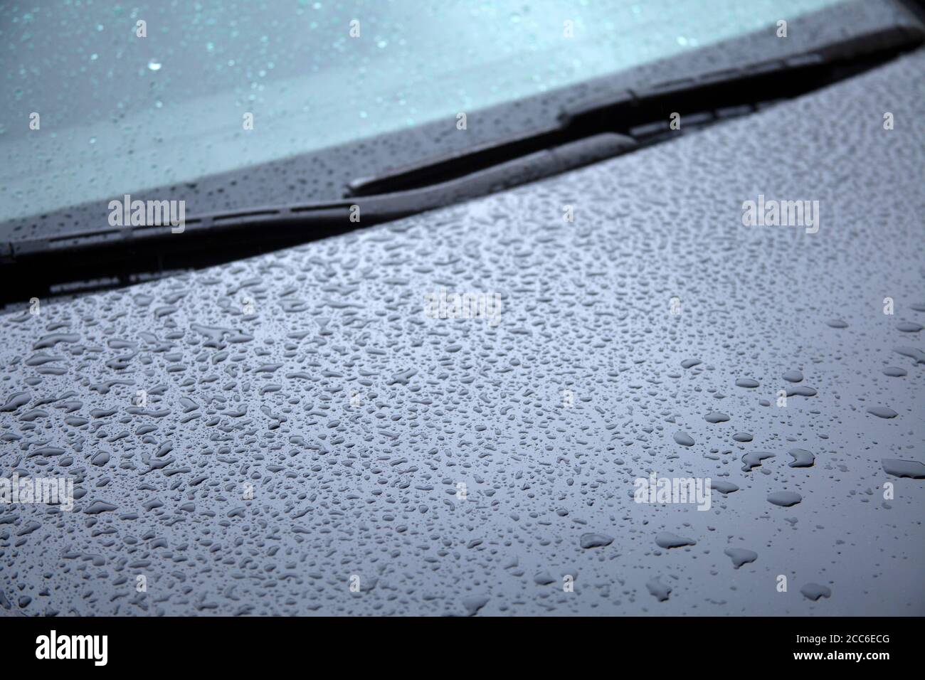 Water drops collect on top of metallic car surface Stock Photo - Alamy