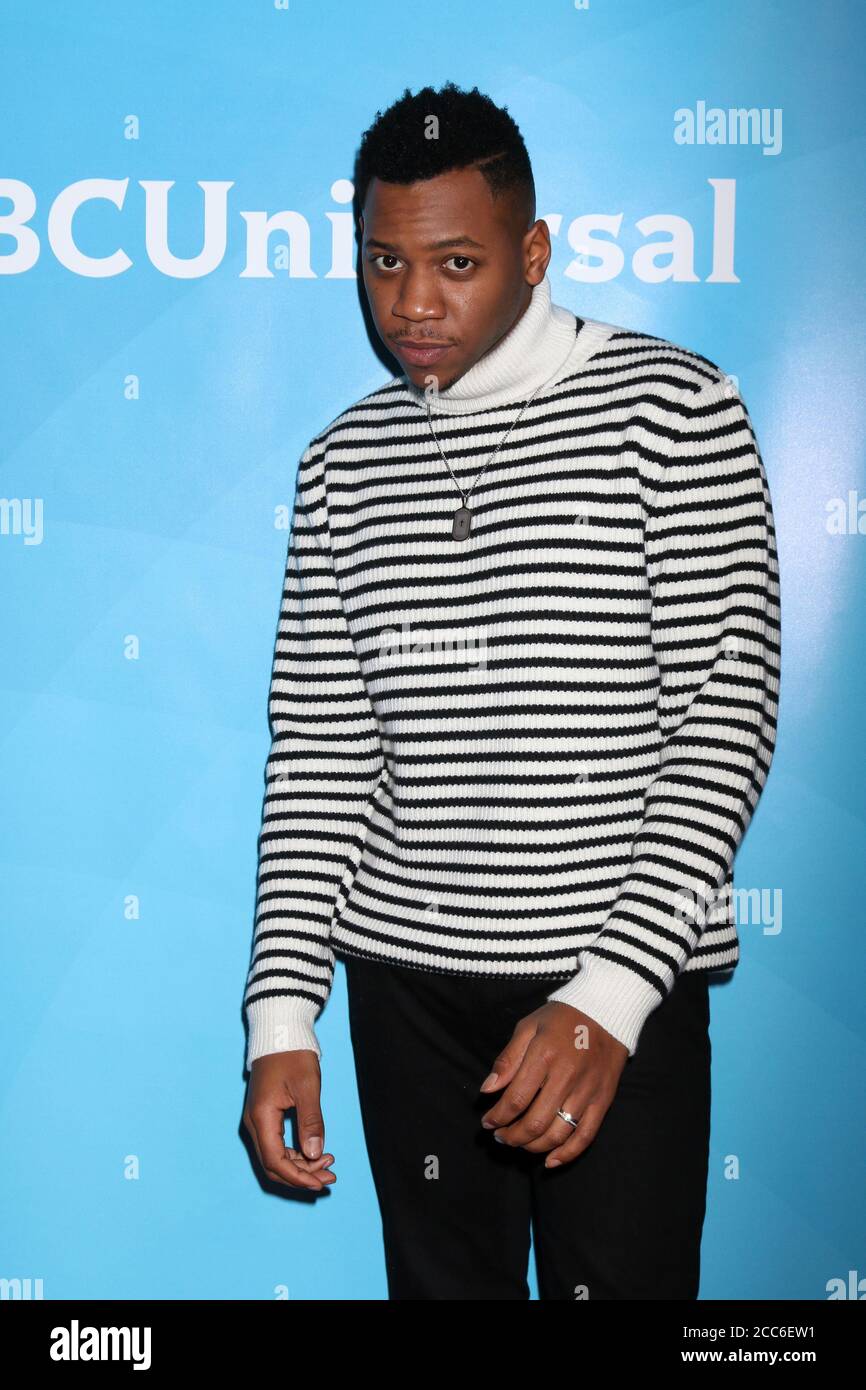 LOS ANGELES - JAN 9: Chris Blue at the NBC TCA Winter Press Tour at ...