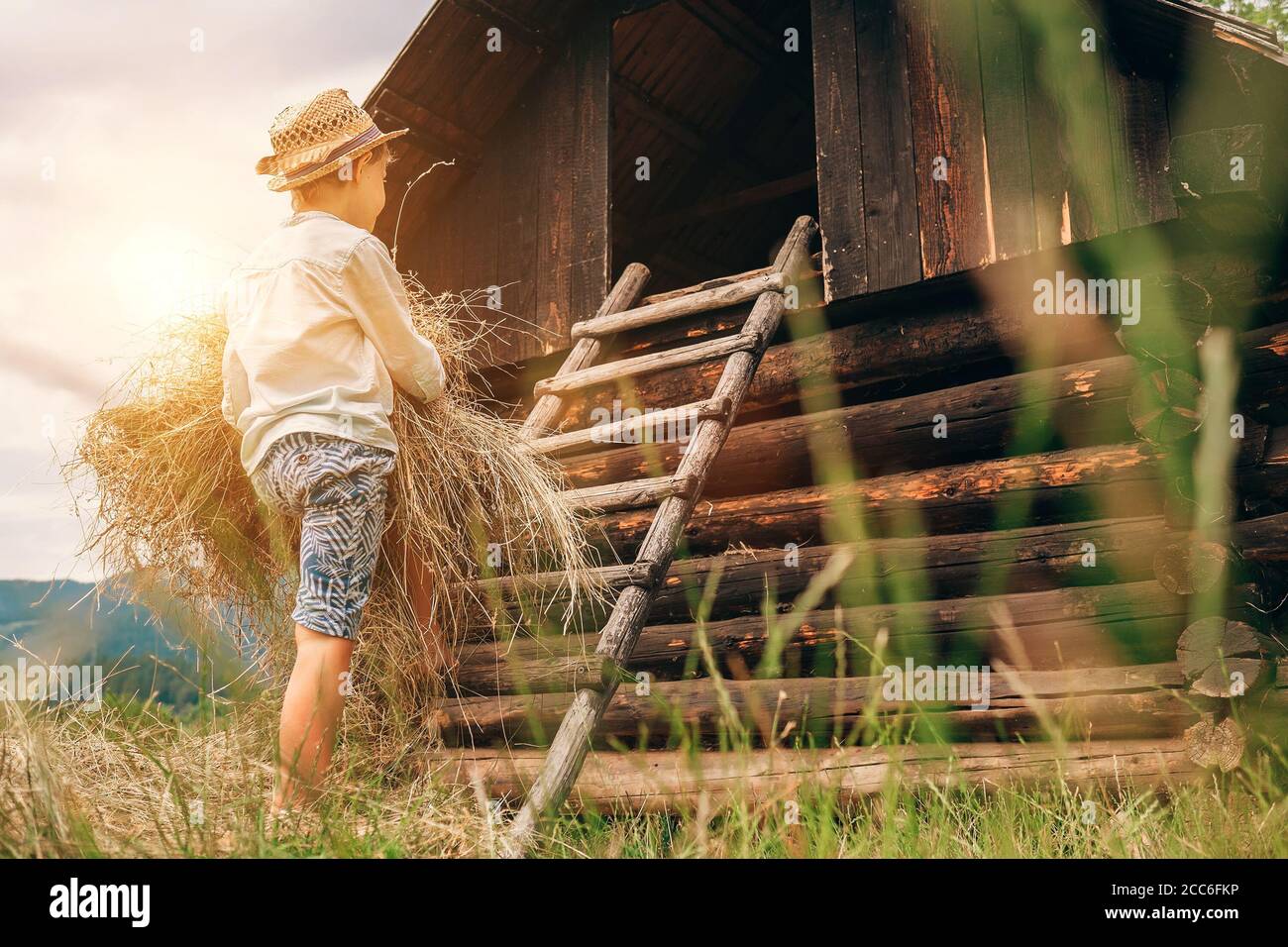 Hayloft in countryside hi-res stock photography and images - Alamy