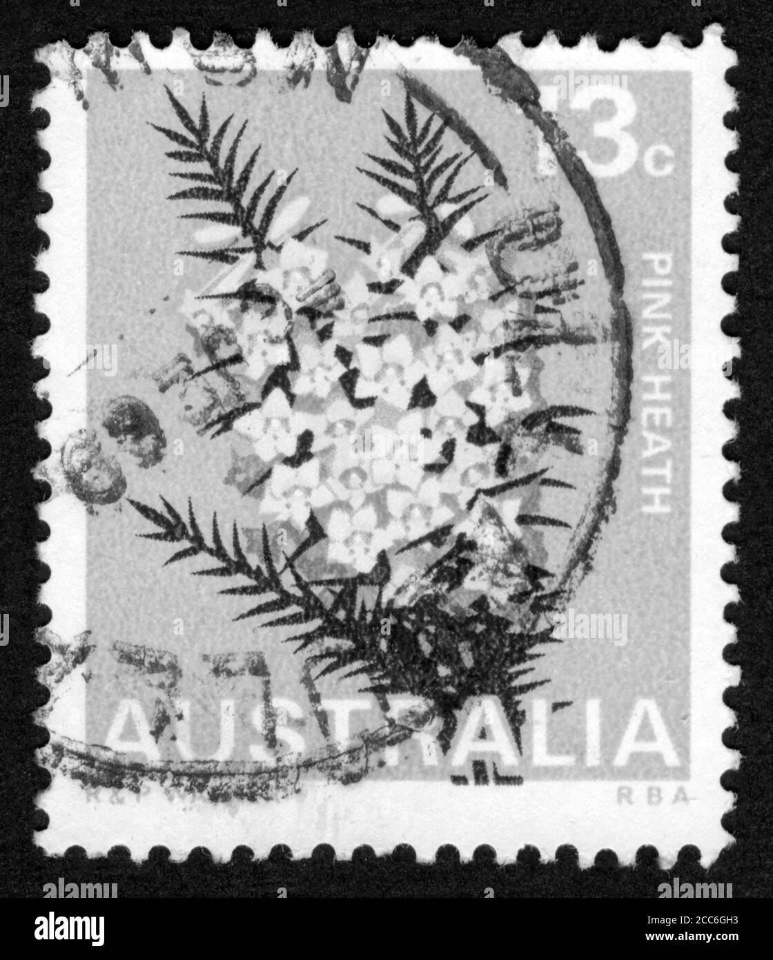 Stamp print in Australia, Pink Heath flowers Stock Photo - Alamy