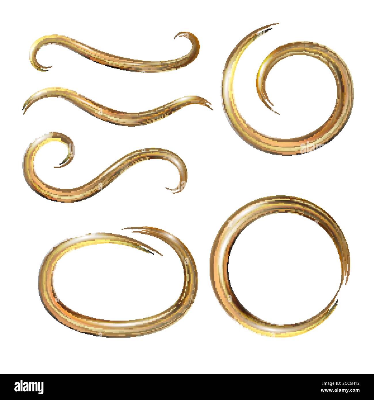 Vector set of dabs brush. Round framework and curls. The isolated ...