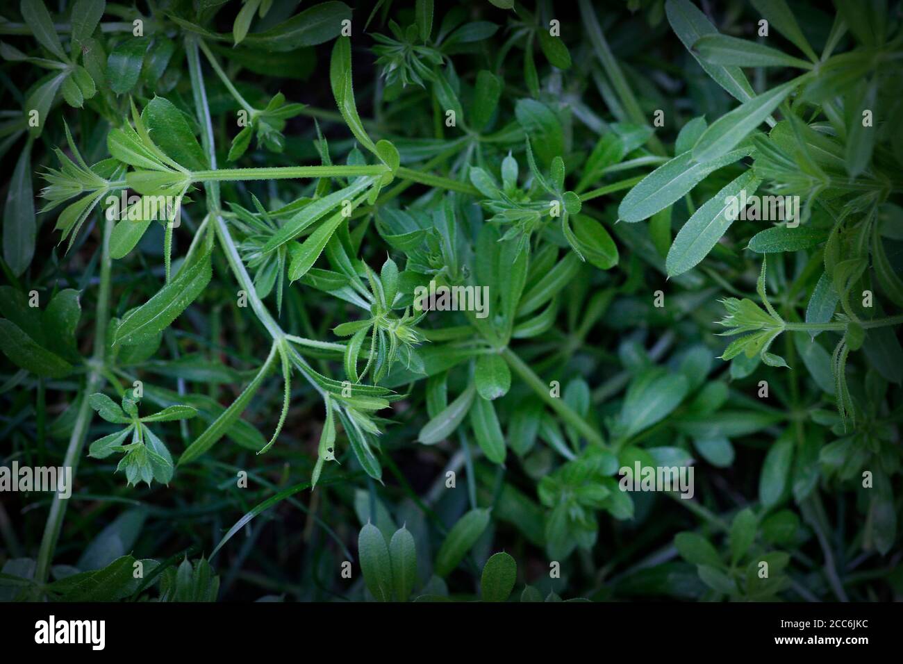 Most livable cities hi-res stock photography and images - Alamy