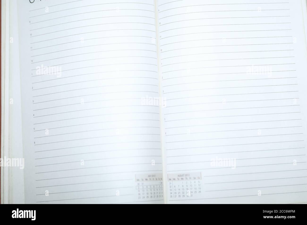 Blank diary sheet with rows on white background, close-up shot with ...