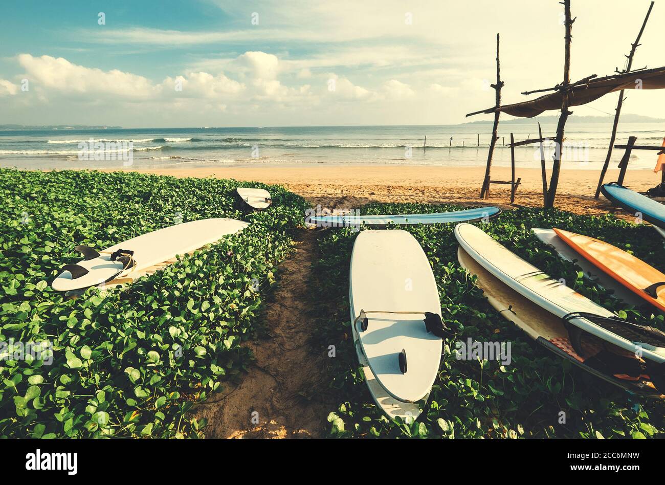 Surfing sports point of view hi-res stock photography and images - Alamy