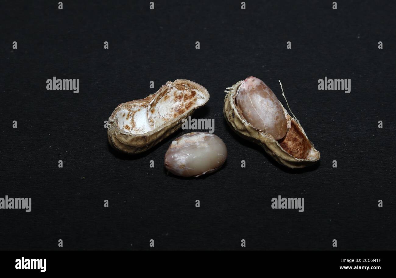 Group of peanuts isolated on black backgrounds Stock Photo - Alamy