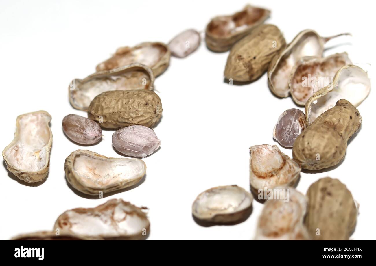 Group of peanuts isolated on white backgrounds Stock Photo - Alamy