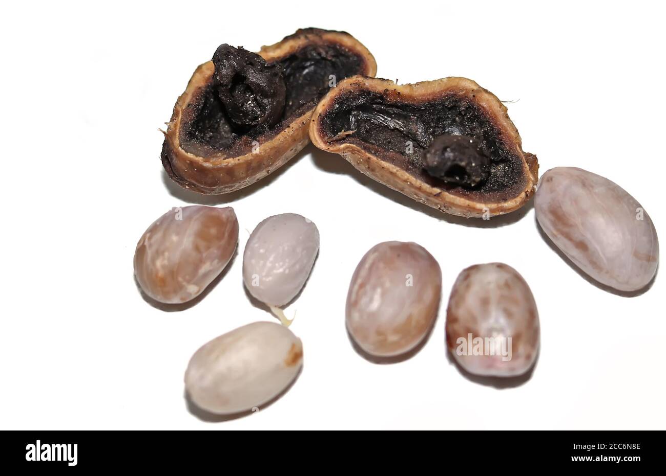 Composition from nuts on the white isolated backgrounds Stock Photo - Alamy