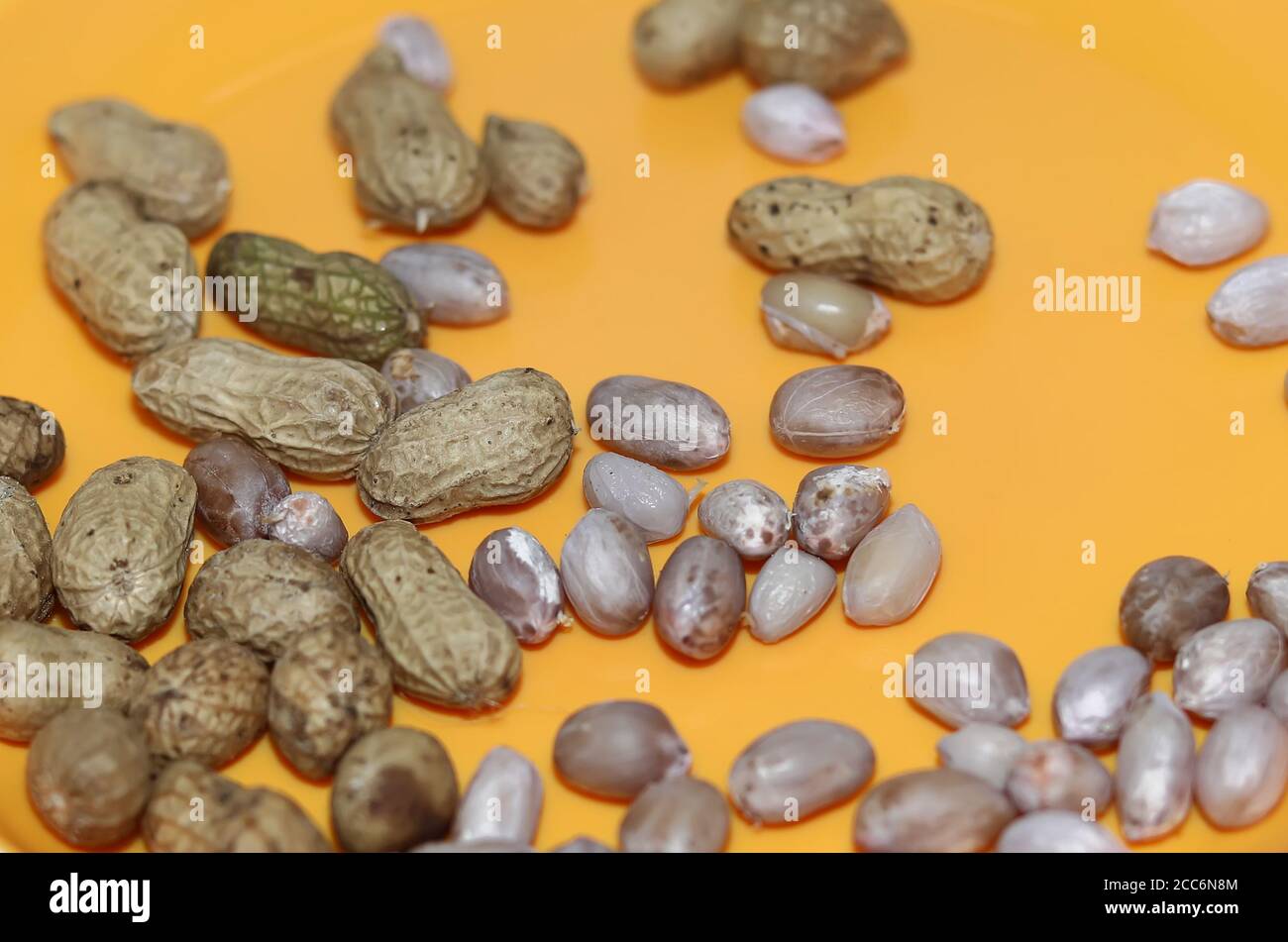 Peanuts in shells on yellow background. Raw peanuts top view isolated ...
