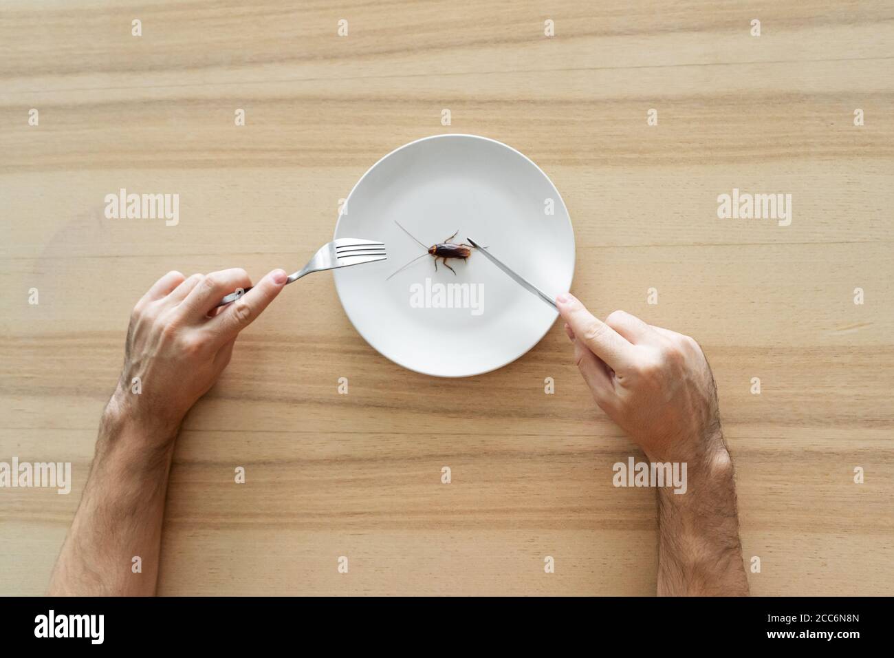 Top view, a man eating a cockroach. Cockroach in a white plate on the ...