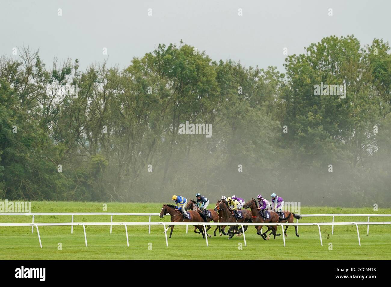 Runners and riders in the The Download The At The Races App Handicap at ...