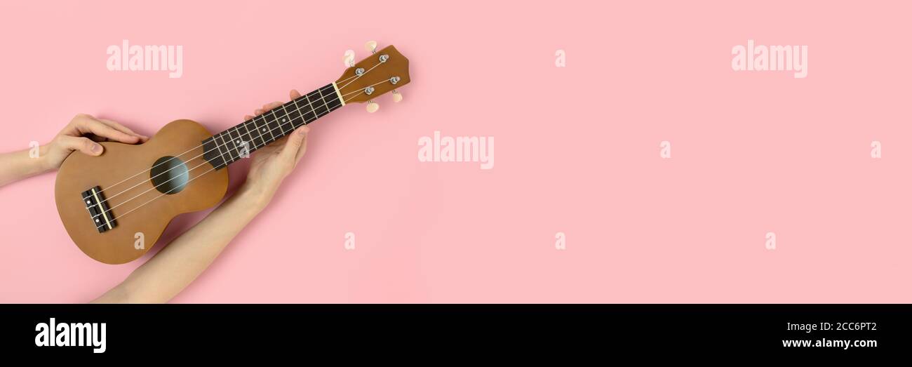 Female hands hold ukulele on a pastel pink background. Creative banner ...