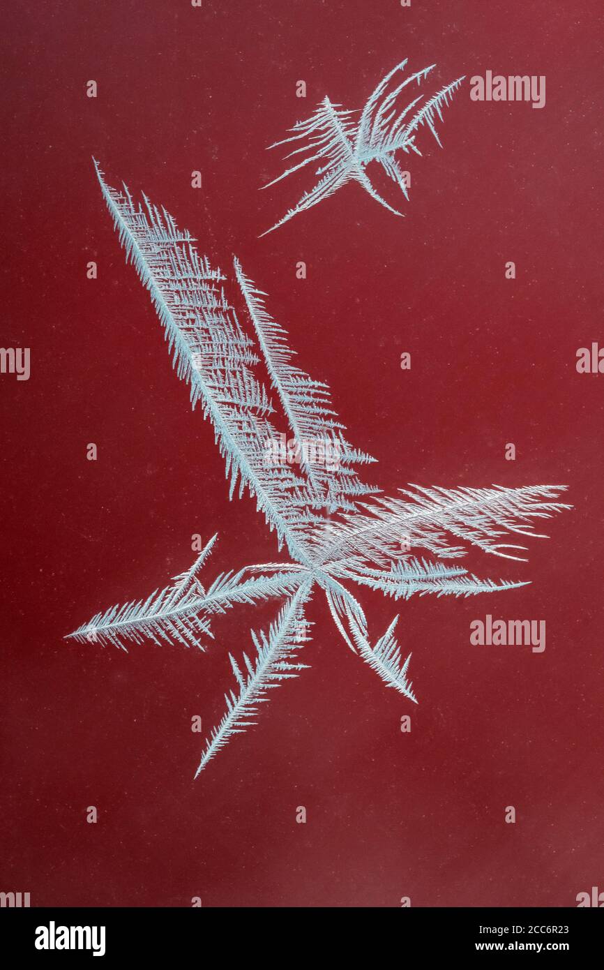 North America; United States; Alaska; Alaska Range Mountains; Denali ...