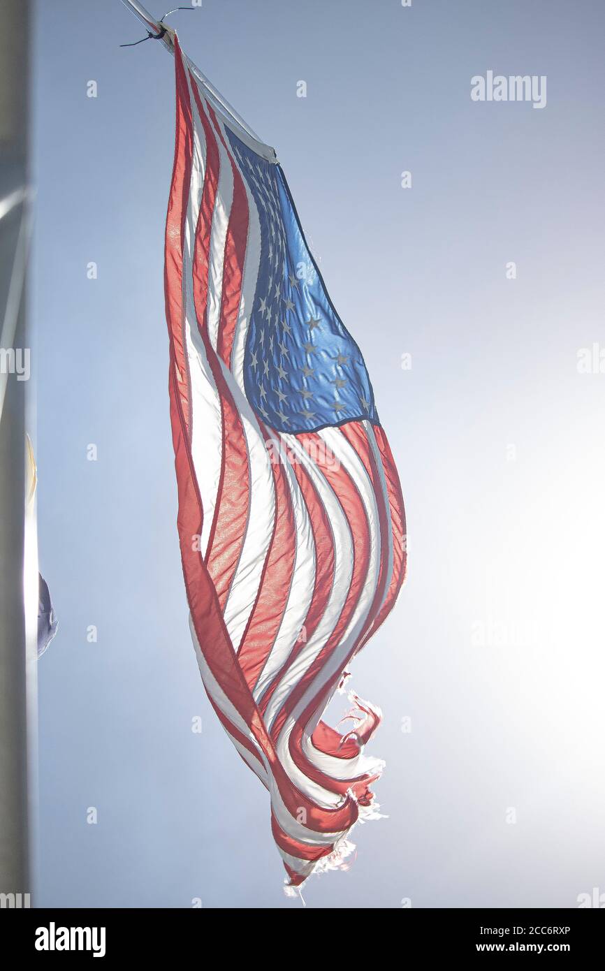 Waving u s a flag in hi-res stock photography and images - Alamy