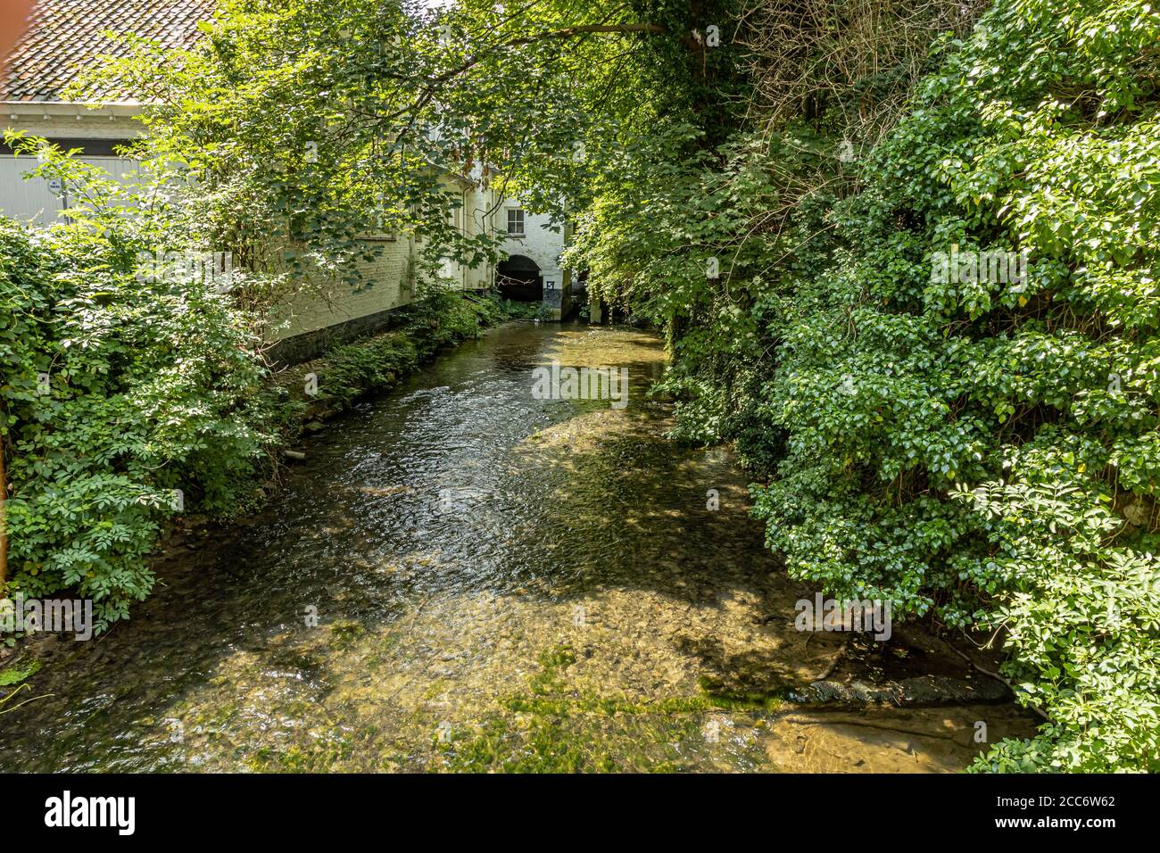 Jeker river with crystal clear water between tree branches with green ...