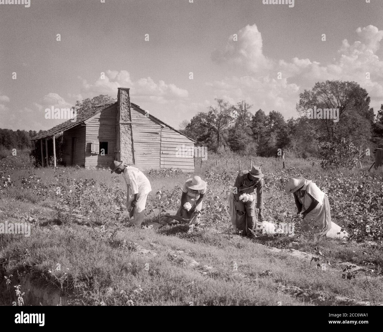 African american sharecroppers 1930s hi-res stock photography and ...