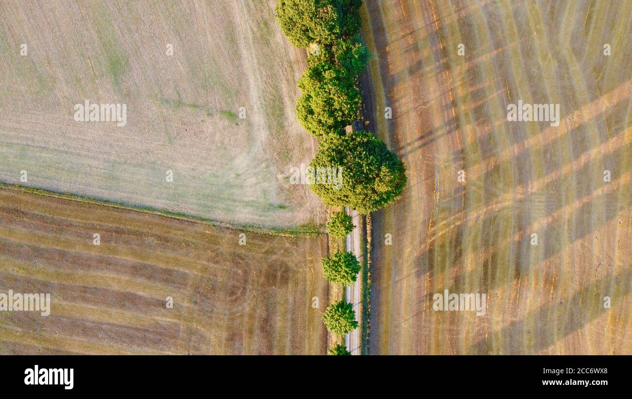 Aerial view over a field with a path Stock Photo - Alamy