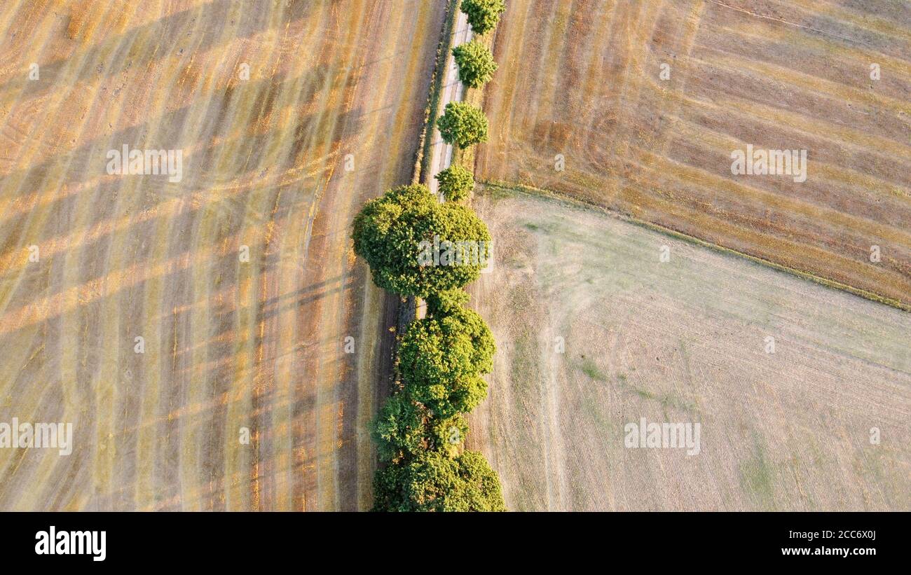 Aerial view over a field with a path Stock Photo - Alamy