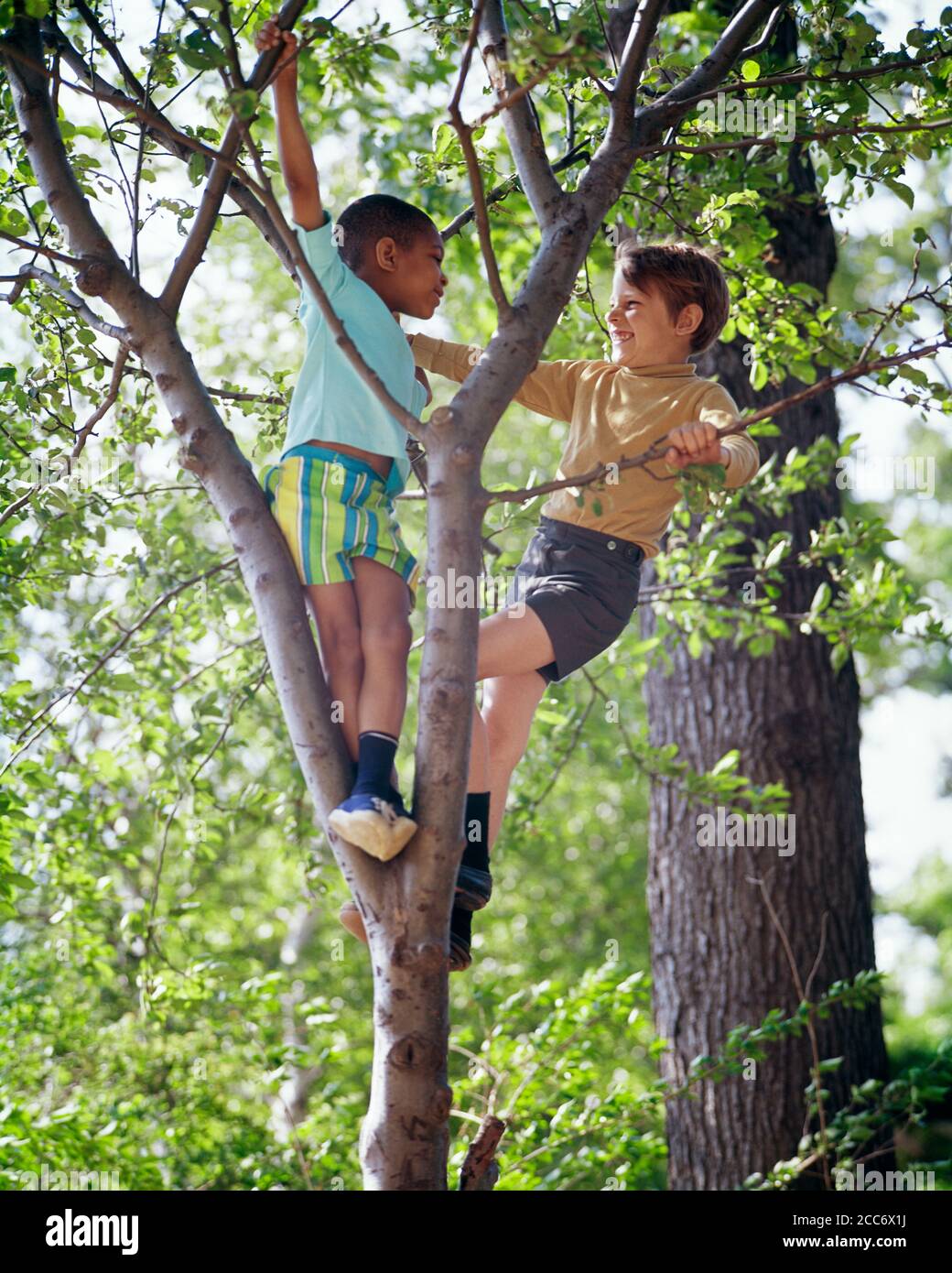 Two children playing tree 1960s hi-res stock photography and images - Alamy