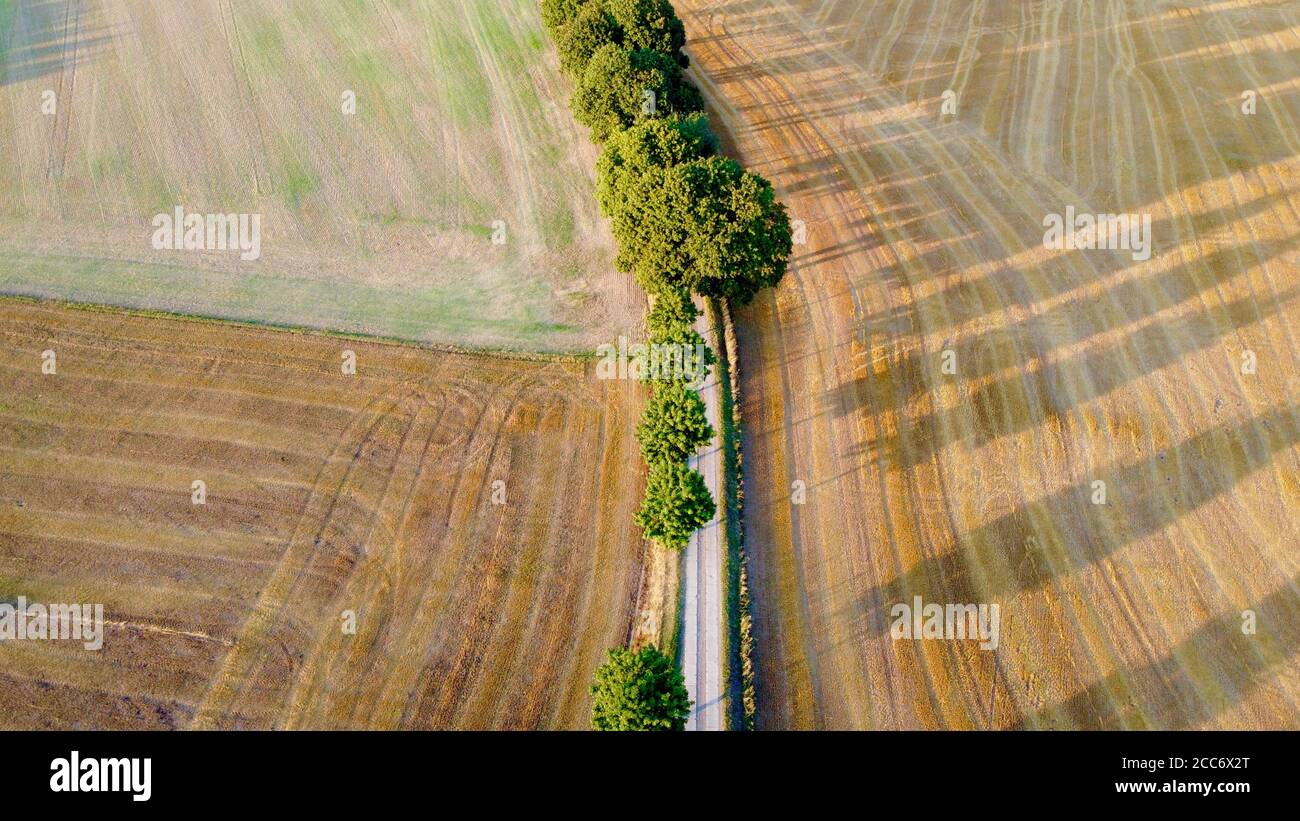 Aerial view over a field with a path Stock Photo - Alamy