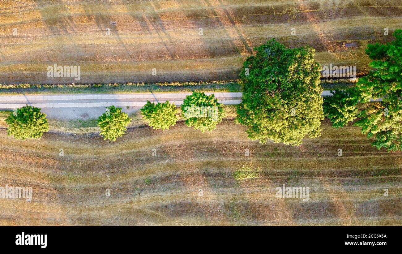 Aerial view over a field with a path Stock Photo - Alamy