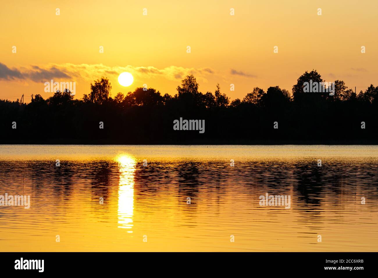 Reflection of the sun and trees hi-res stock photography and images - Alamy