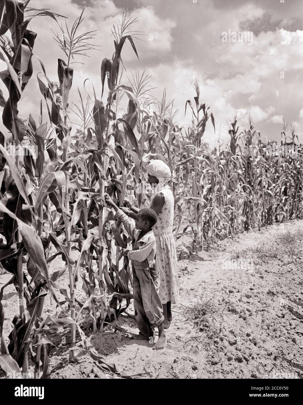Farming Usa 1930s High Resolution Stock Photography and Images - Alamy
