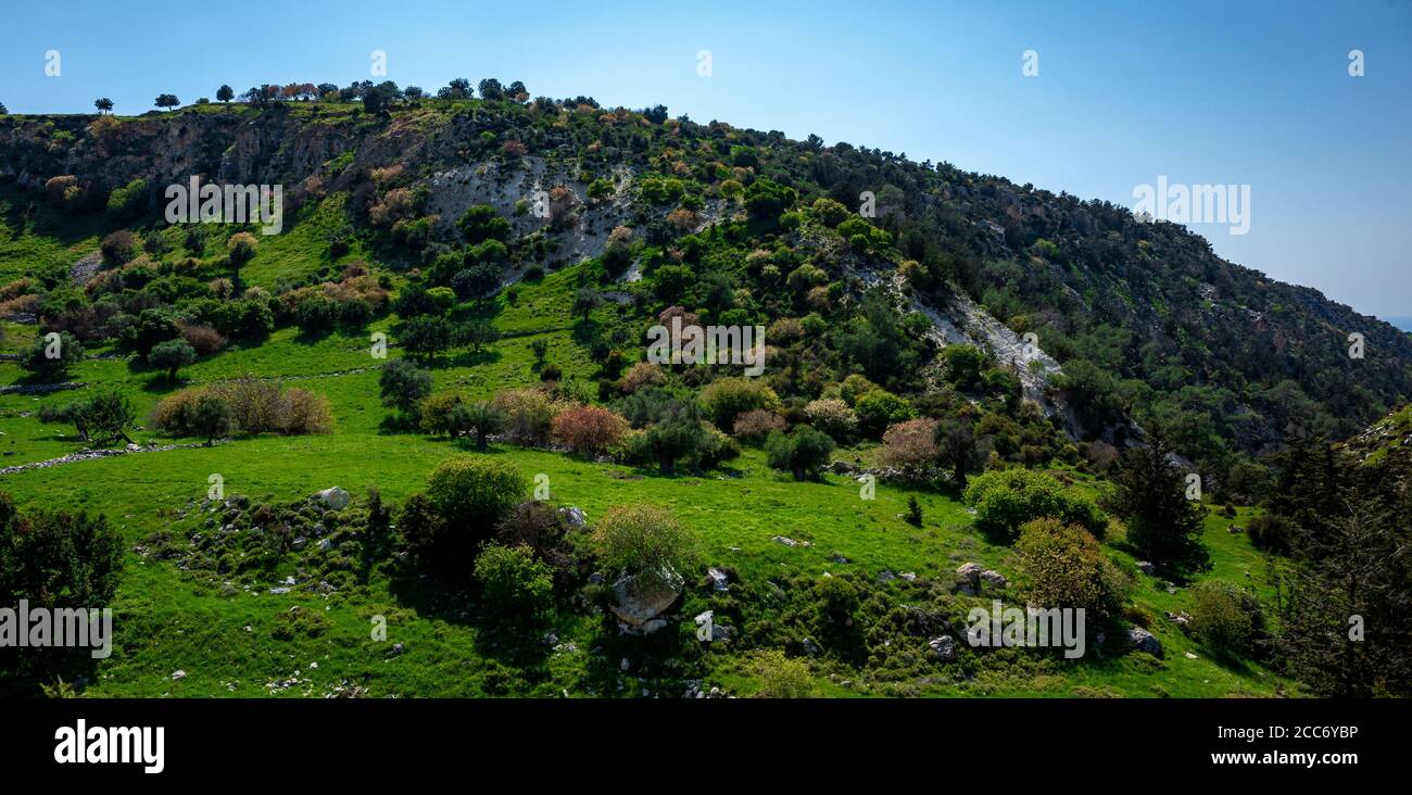 Water meadows and hills on the Mediterranean coast on the island of ...