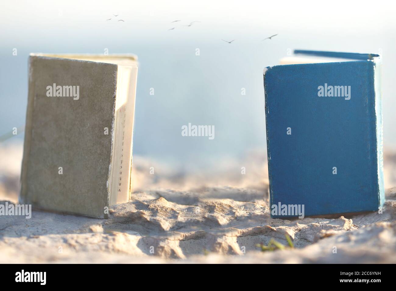 surreal moment between two books that communicate Stock Photo - Alamy